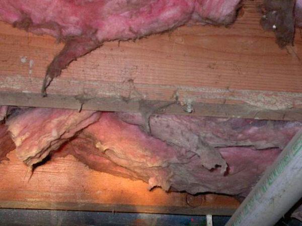 What is Pink Fiberglass Insulation? -Ecoin